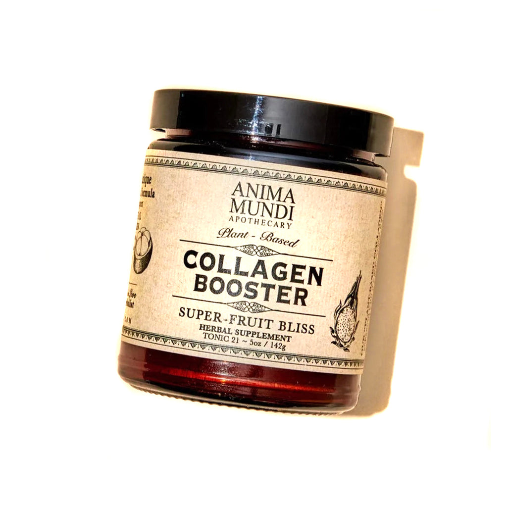 ADAPTOGENIC Powder | 7 Medicinal Mushrooms + Cacao – kinship station